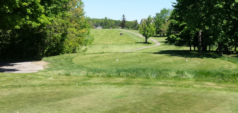 Course Layout - Briarwood Golf Club